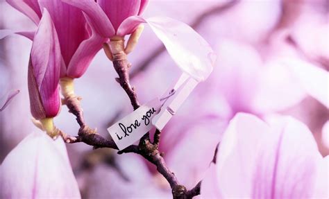 Horoscop DRAGOSTE Saptamanal 30 Martie 5 Aprilie 2020 Este Abia