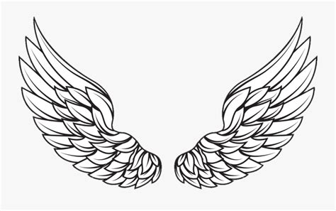 Asas De Anjo Vector Wings Png Logo Free Transparent Clipart