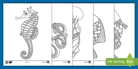 Hojas Para Colorear Mindfulness Mes Del Mar Teacher Made