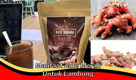 Temukan Manfaat Leunca Untuk Lambung Yang Jarang Diketahui Biotifor