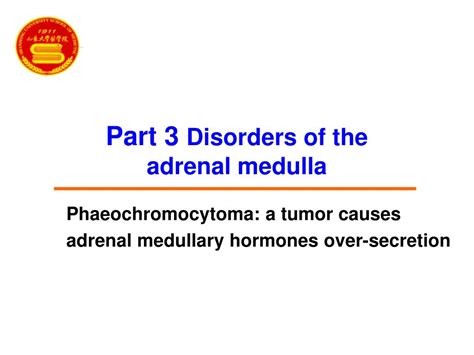 Ppt The Adrenal Glands Part The Adrenal Medulla Powerpoint