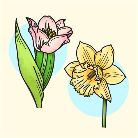 Flor Acuarela Dibujada A Mano Vector Premium