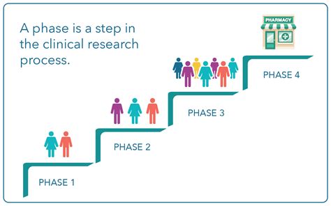 Phase Clinical Research Glossary