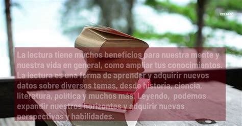 Albert Einstein Frases De Personajes Celebres Frases Celebres De