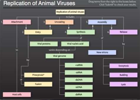 Mastering Micro Ch Mt Ch Mastering Microbiology Ch Quiz