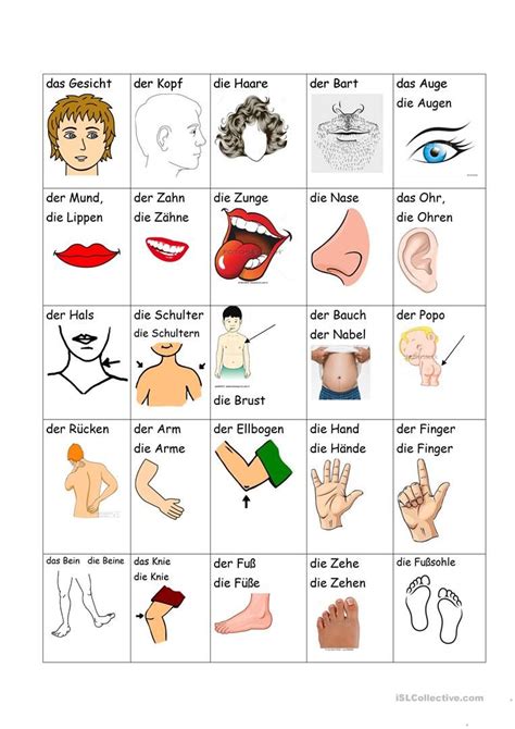 Einige Körperteile German language learning German grammar German