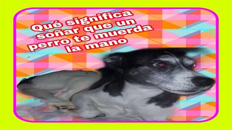 Qué Significa Cuando Un Perro Te Muerde La Mano Izquierda En Un Sueño
