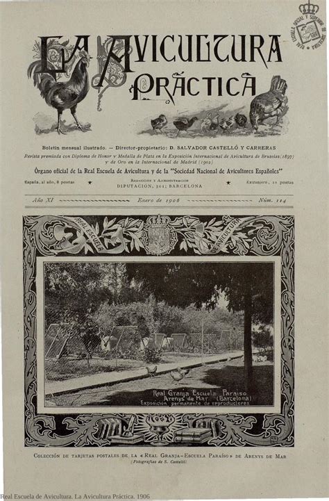 PDF ICUIlrJIR I Ddd Uab Catreavicultura Pdf Buenas Costumbres De