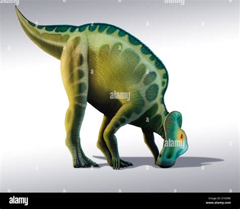 Corythosaurus Is A Genus Of Hadrosaurid Ie Duck Billed Dinosaurs Planet Eaters That Lived