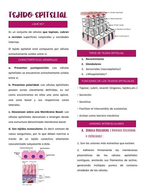 Atlas de histología Claudia Espinosa uDocz