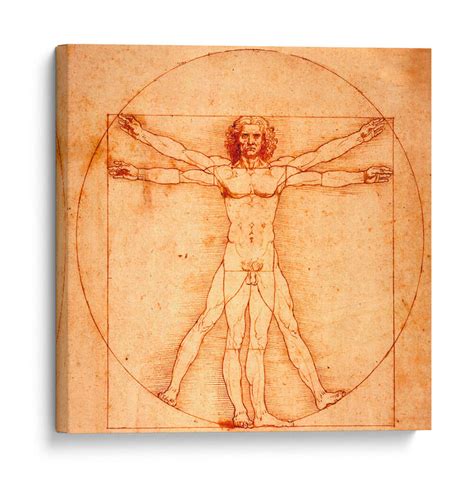 Hombre De Vitruvio Leonardo Da Vinci Canvas Lab