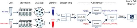 analyze scrna seq data from a publication using 10x software software single cell gene