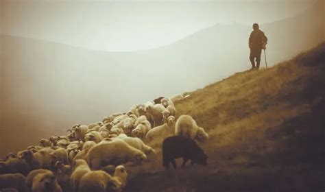 Salmos 23 Estudo Versículo por Versículo e Esboço