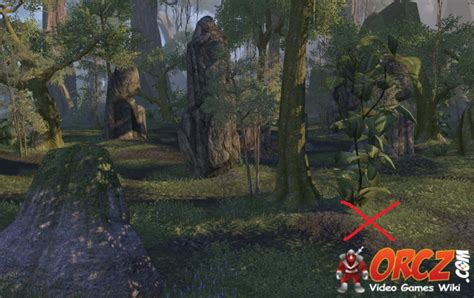 Eso Grahtwood Treasure Map Iv Orcz The Video Games Wiki