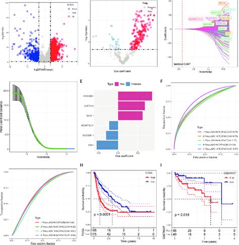 Identification Of The Hub Predictive Genes To Construct A Risk