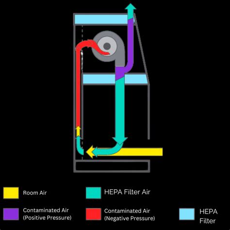 Difference Between Isolators And Biological Safety Cabinets Isovax