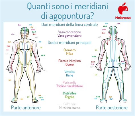 Agopuntura che cosè a cosa serve benefici come funziona