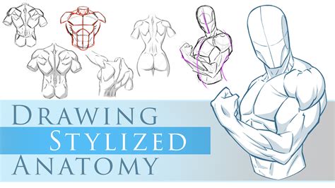 How To Draw Stylized Poses And Anatomy Breaking Down The Basic Shapes