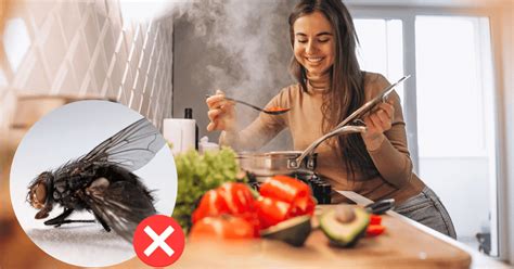 Trucos Infalibles Para Alejar A Las Moscas De Tu Hogar De Manera Definitiva