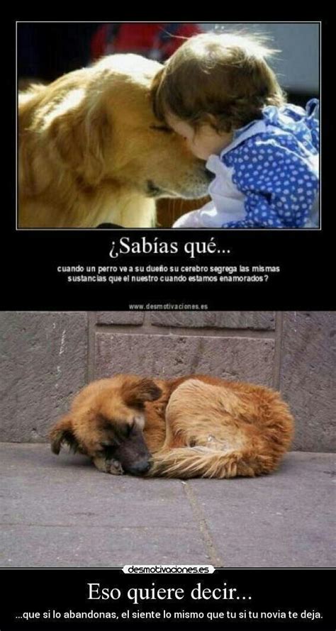 Ahora Lo Entiendo Todo No Abandonar Meme Subido Por Menakmena