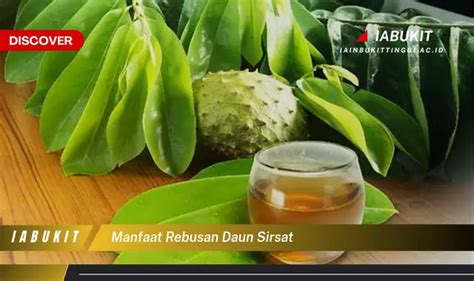 Bukan Cuma Daun Pandan Ketahui Manfaat Daun Sirsat Yang Bikin Penasaran
