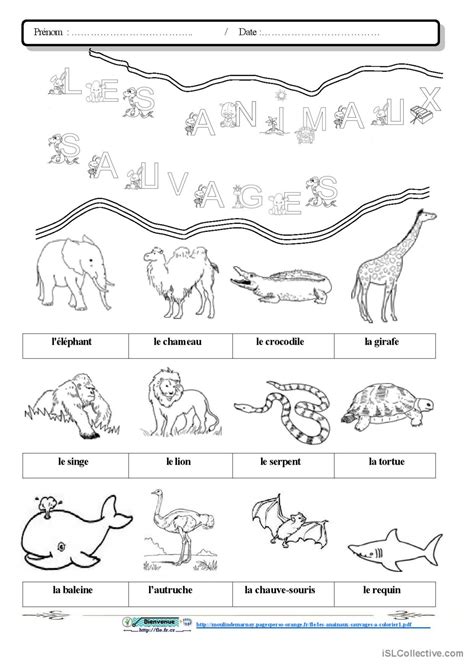 Les animaux sauvages Français FLE fiches pedagogiques pdf doc