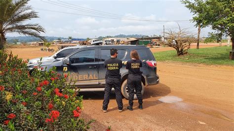 Operação Alerta Amazônia combate desmatamento ilegal no interior da