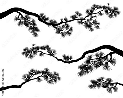 Long Elegant Pine Tree Branches Black And White Conifer Tree Vector