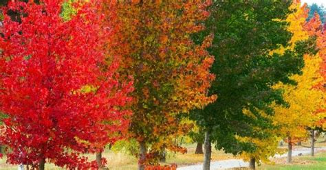 Cuándo empieza el otoño en Uruguay 2023