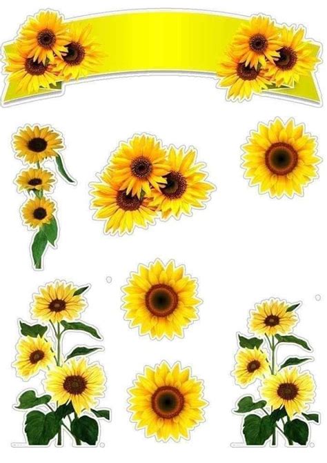 Topo De Bolo Floral Circular Para Imprimir Em 2020 Af4 Artofit