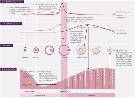 Neuro Natural Life Graphing Map Lovers Medicine Health Education