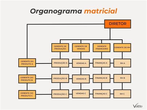 O que é organograma tipos e modelos para usar