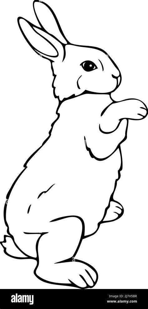 Ilustración vectorial del conejo parado en las patas traseras Conejito