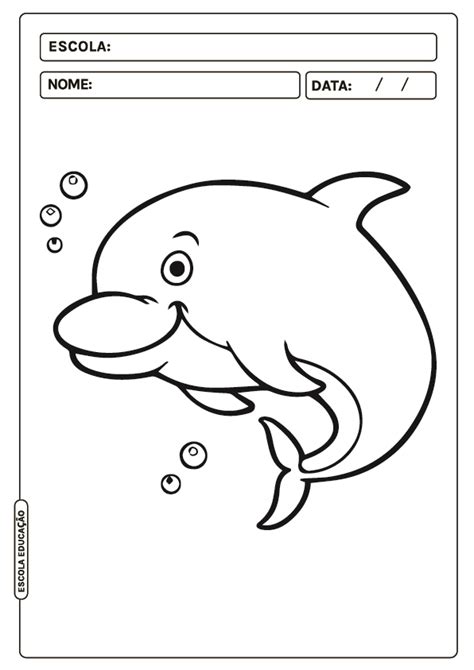 11 Desenhos Do Boto Cor De Rosa Para Colorir Folclore Brasileiro