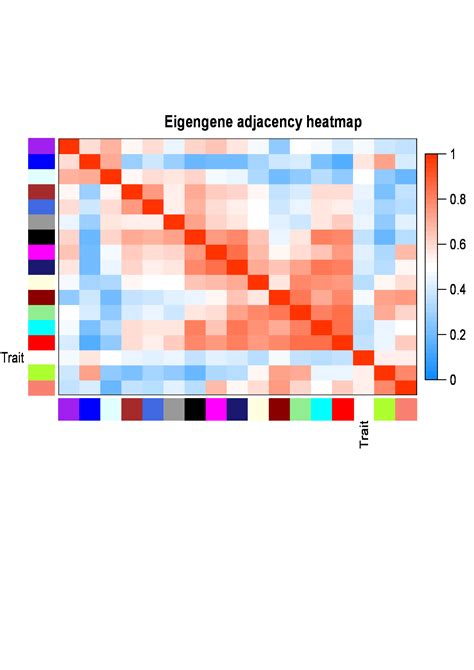 highly correlated modules with clinical trait does not cluster together in eigengene dendrogram