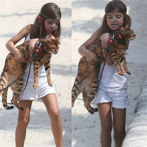 Foto Sofia filha de Grazi Massafera e Cauã Reymond leva gato para
