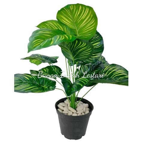 Jual Tanaman Hias Daun Pohon Monstera Palsu Plastik Jumbo Artificial