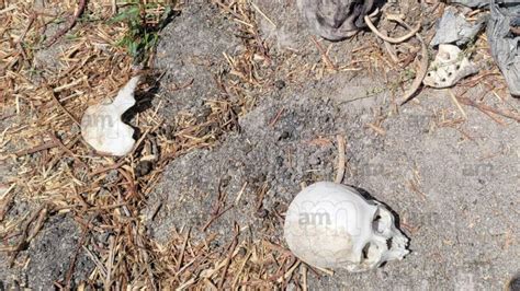 Seguridad Villagrán Encuentran huesos humanos en El Rehilete