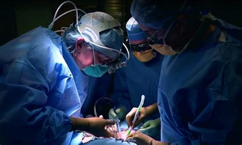 Primeiro Paciente A Receber Rim De Porco Em Transplante Deixa Hospital