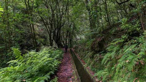 Passeios De Um Dia Na Ilha Da Madeira