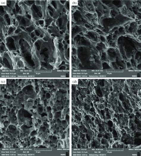 Tensile Fracture Surface Morphology Of Annealed Condition And