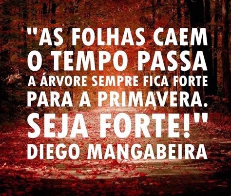 Pin Em Frases Motivacionais