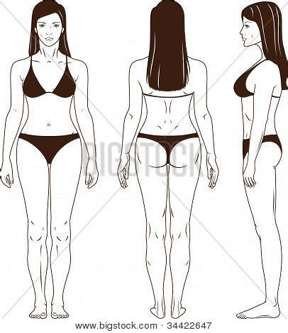Naked Standing Woman Vector Photo Free Trial Bigstock