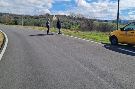 I Lavori Della Provincia Sulle Strade Di Todi IlTamTam It Il Giornale