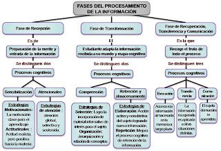 Mis apuntes pedagógicos Fases del procesamiento de la informaciòn
