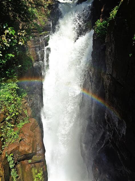 Cataratas Do Iguaçu Brazil Free photo on Pixabay Pixabay