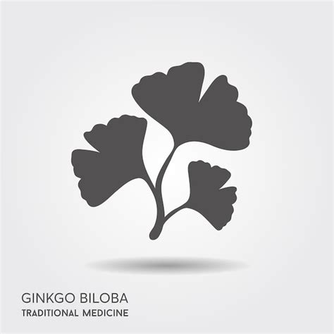 Premium Vector Cartoon Flat Ginkgo Biloba Leaves Isolated With Shadow