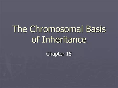 PPT The Chromosomal Basis Of Inheritance PowerPoint Presentation
