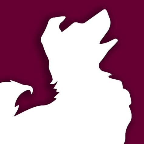 Hundeführerschein des BHV Google Play 앱