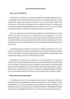Orientaciones teóricas de la Psicología Evolutiva Educación Y